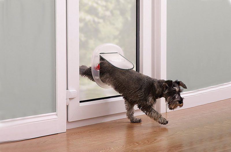 Pet Doors for Glass in Devon | Cornwall | Somerset